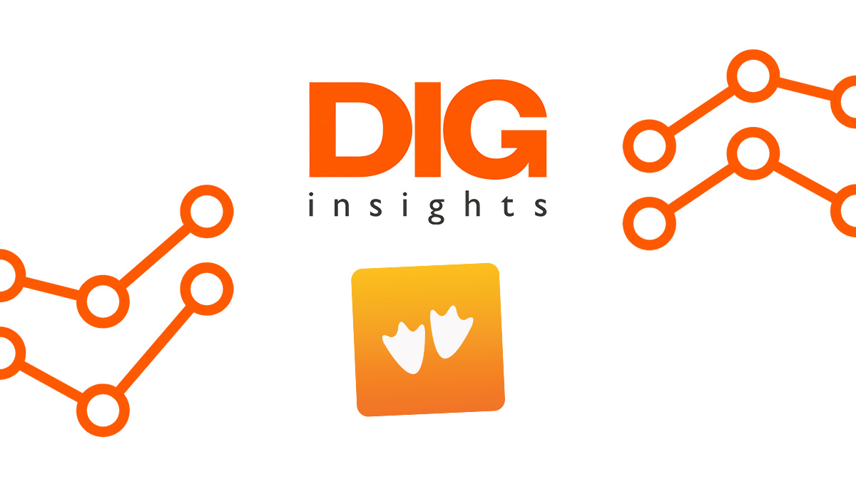 Alyshahn Kara on the Dig Insights Interview Series | GooseChase