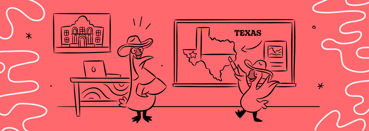 Texas Data Privacy and Security Act 101 | Goosechase