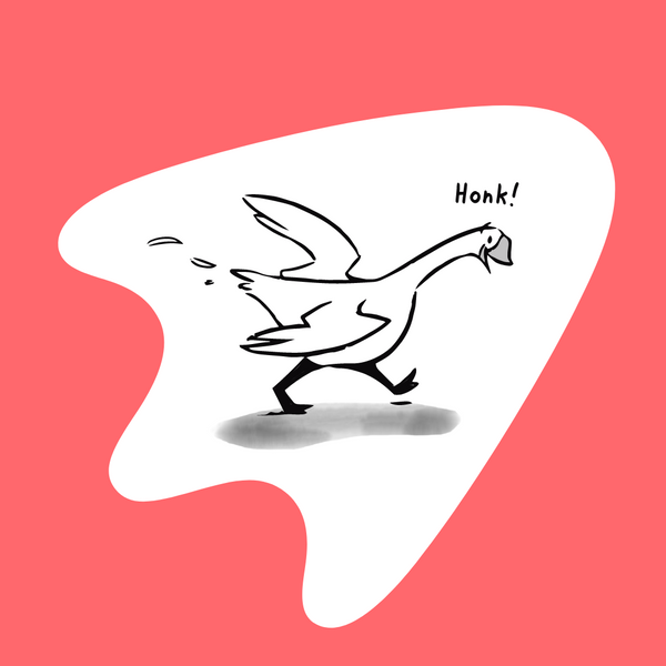 Goose 🪿 Emoji: Meaning, Copy, Paste, Text, and Symbols